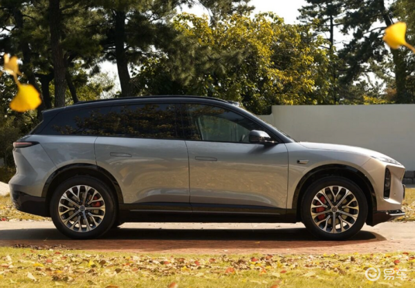 为了纪念蔚来ES6第30万台的交付里程碑电池租用方案bass购车_易车