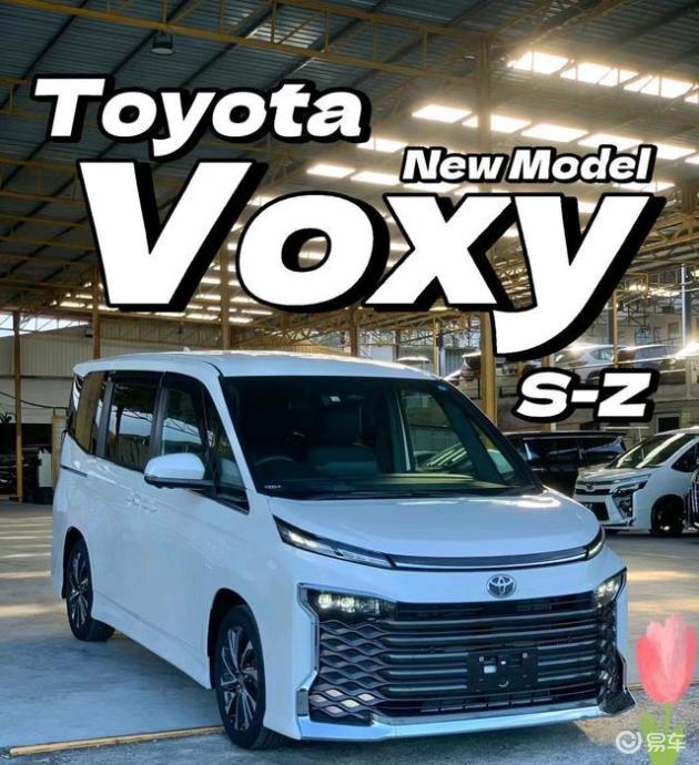 丰田Voxy-易车搜索