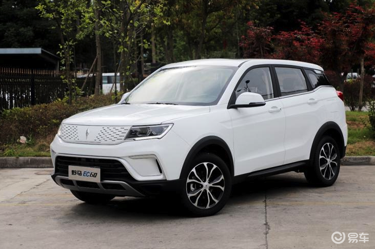 膨胀了！雷丁小型电动SUV野马EC60卖26万有人买吗？_易车