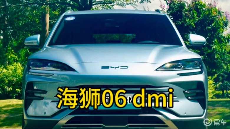【海狮06EV】比亚迪海狮06EV报价,海狮06EV图片_易车