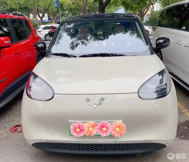 Wuling Bingo, the First Car for Young People | BitAuto Zambia