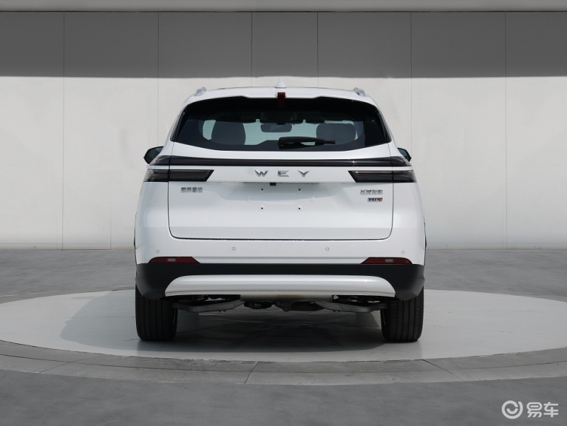 全新魏牌拿铁申报图 搭载Hi4混动系统_易车