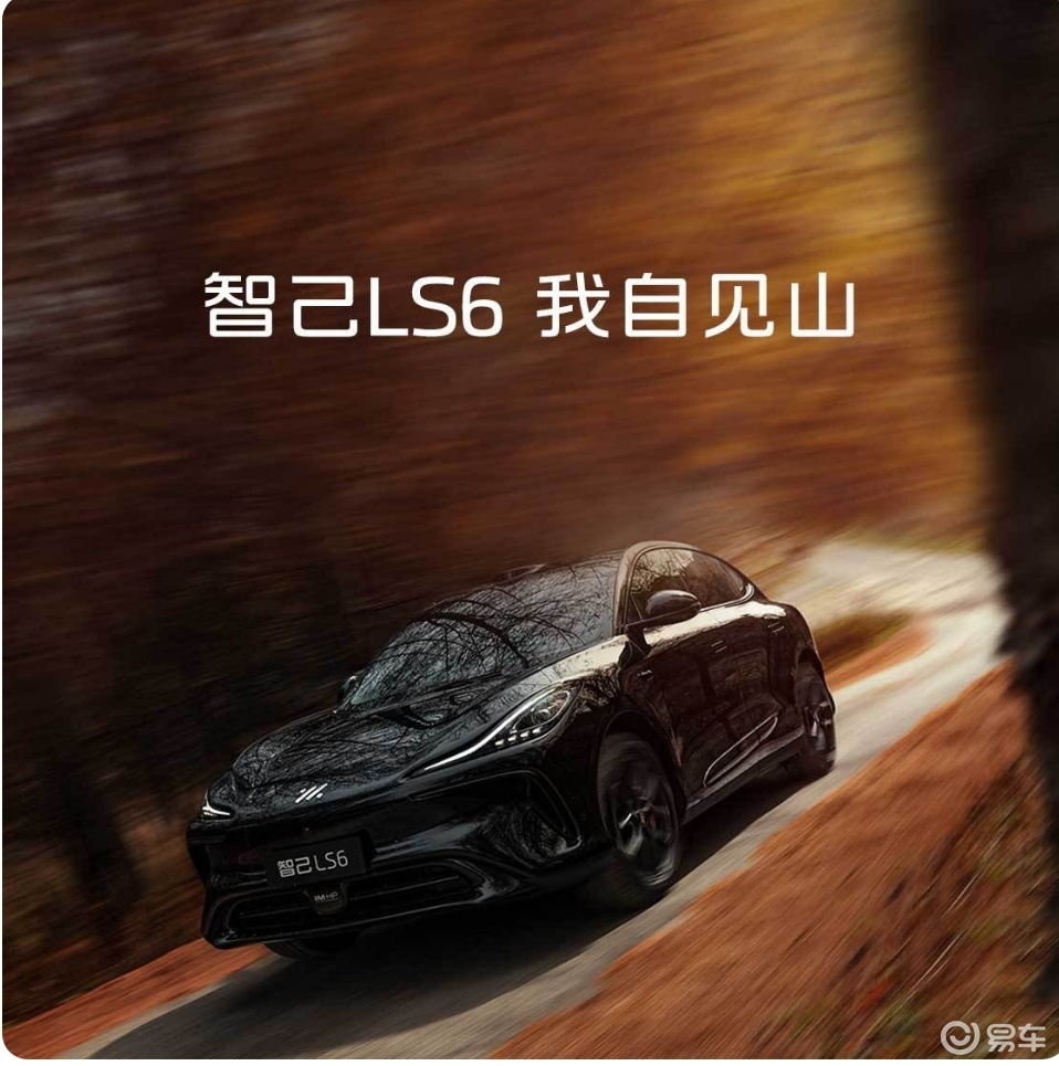 智己LS6尾灯升级为Skyline LED贯穿式尾灯！_易车