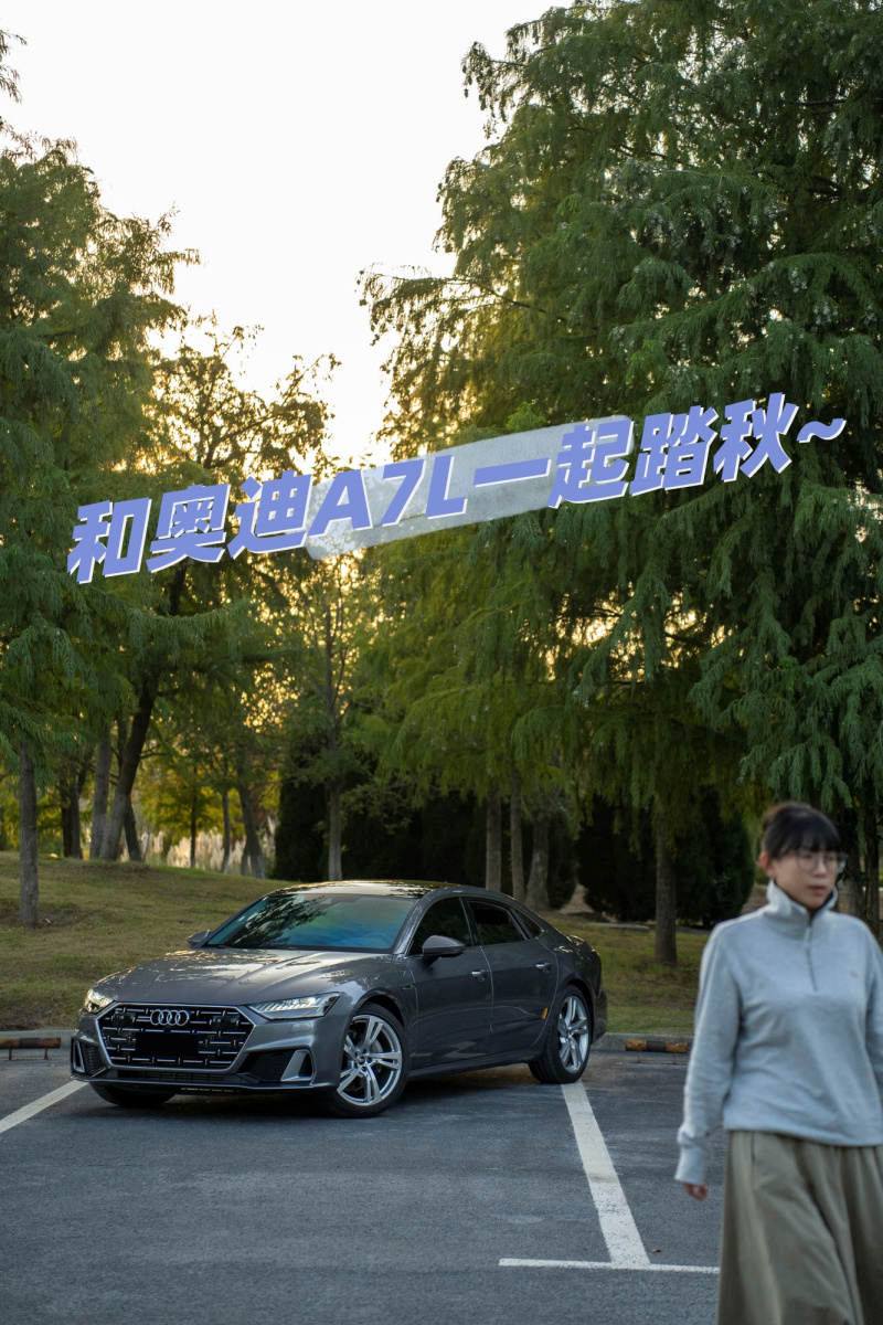 [奥迪A7L 2024款 45 TFSI quattro S-line 见远型 流晶套装]怎么样口碑好不好-车友伊格拜德曼点评-易车