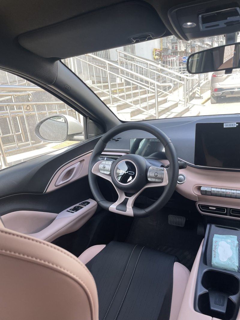 [海鸥 2024款 荣耀版 305km 活力版]怎么样口碑好不好-车友超群绝伦熊猫2574点评-易车