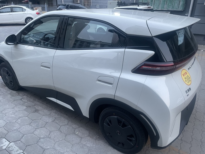 [海鸥 2024款 荣耀版 305km 活力版]怎么样口碑好不好-车友超群绝伦熊猫2574点评-易车