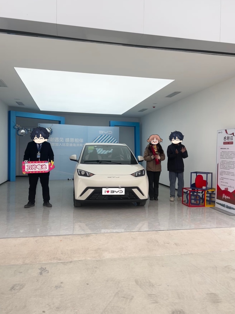 [海鸥 2024款 荣耀版 305km 活力版]怎么样口碑好不好-车友超群绝伦熊猫2574点评-易车