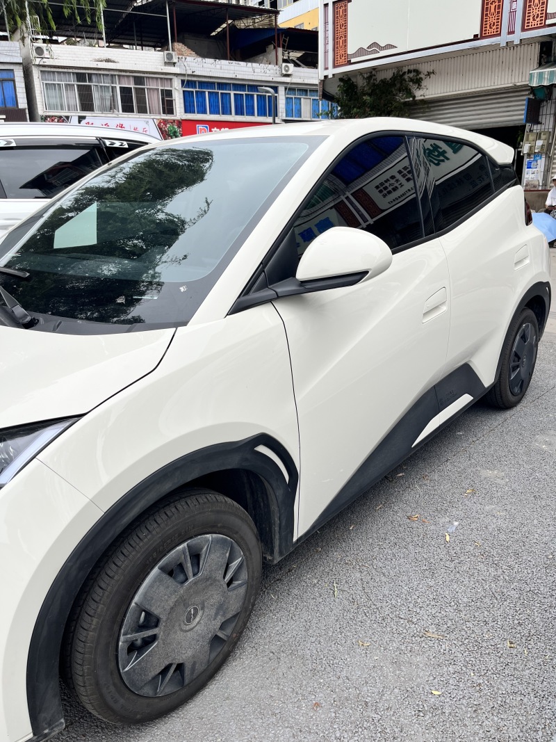 [海鸥 2024款 荣耀版 305km 活力版]怎么样口碑好不好-车友美丽的稻米3005点评-易车