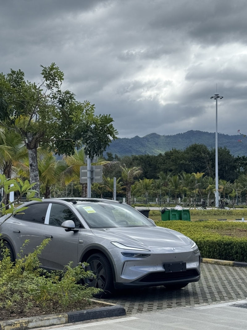 [乐道L60 2024款 555km 后驱标准续航版]怎么样口碑好不好-车友悦目的柏木树1115点评-易车