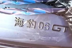 海豹06gt-易车搜索