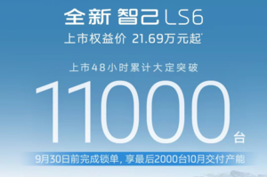 智己LS6-易车搜索