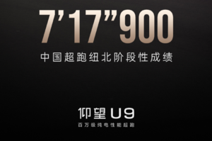 仰望u9-易车搜索