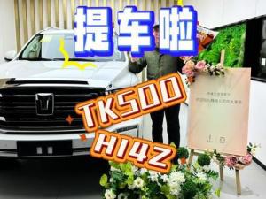 坦克500新能源-易车搜索