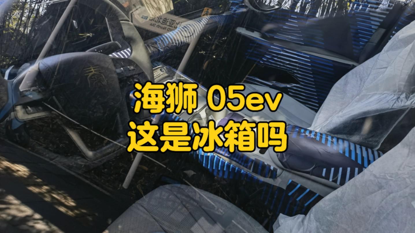【海狮05EV】比亚迪海狮05EV报价,海狮05EV图片_易车